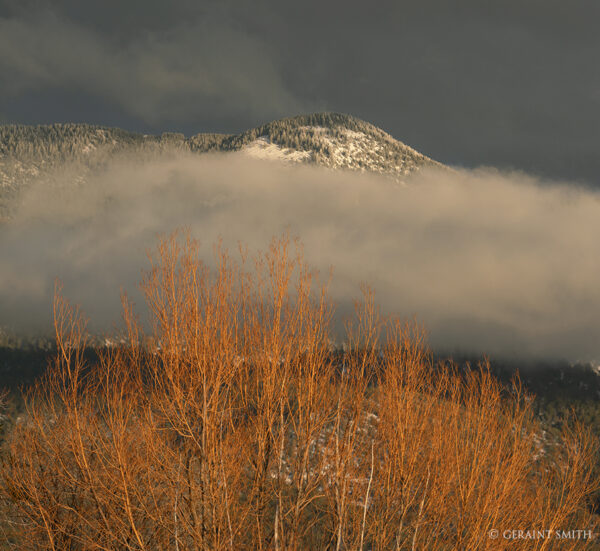 Tree, Mountain Cloud, San Cristobal, NM | Geraint Smith Photography