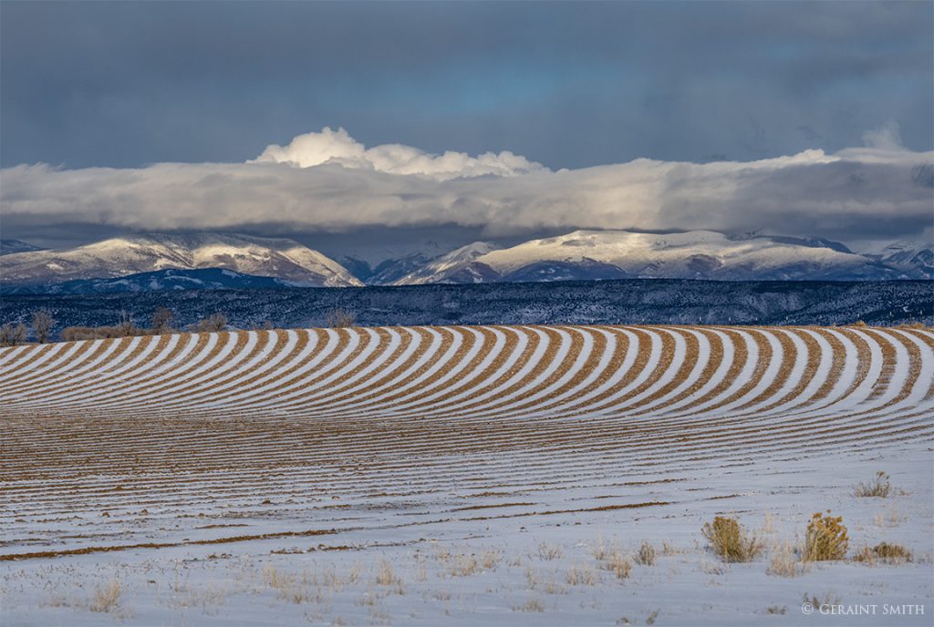 Things I've seen and done in the last couple of weeks. | Geraint Smith ...