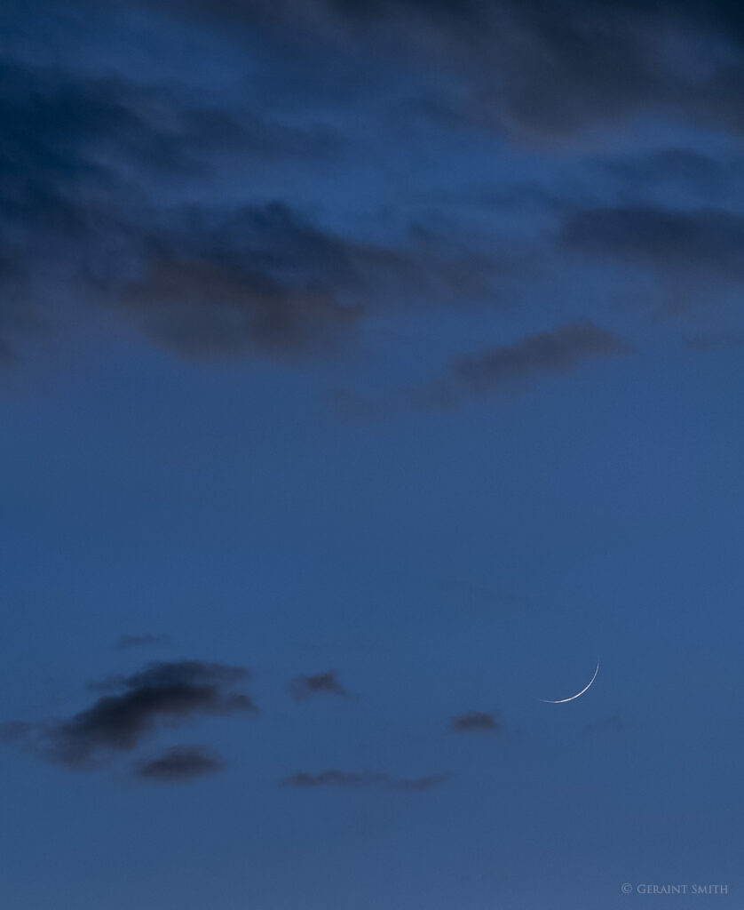 Sandhill Cranes, Bald Eagle, Red Willow Winter, Crescent Moon ...